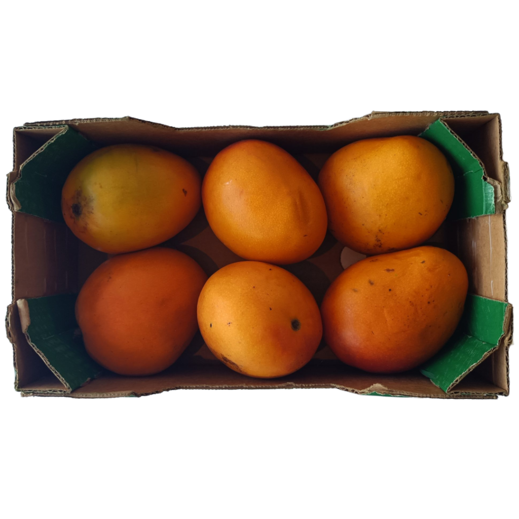 Mangoes Box – Harvesty